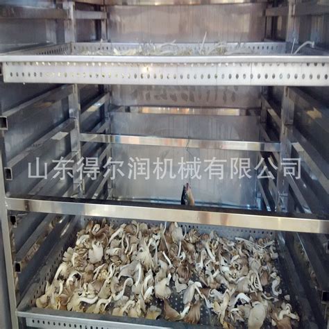 中药材烘干机 五味子专用热风循环烘干箱 得尔润厂家生产 阿里巴巴