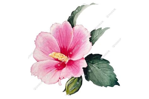 무료다운 상업적으로 사용 가능한 이미지입니다 이미지를 클릭하여 다운받으세요 정원 가꾸기 꽃 수채화 꽃