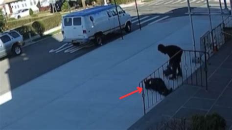 Robber Pushes 68 Y O Woman Down Stairs In Front Of Church Then Takes