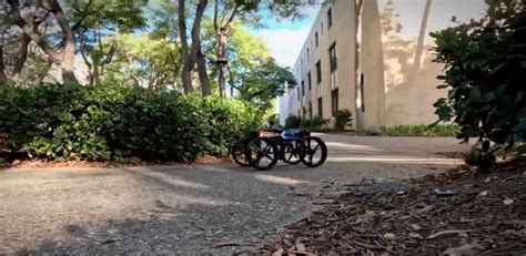 Video Jimmy Majumder On Linkedin Robotics Researchers Caltech