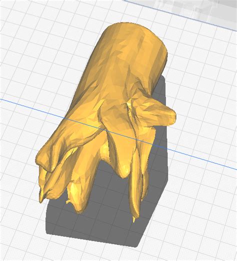 Wood Root By Master3d Download Free Stl Model