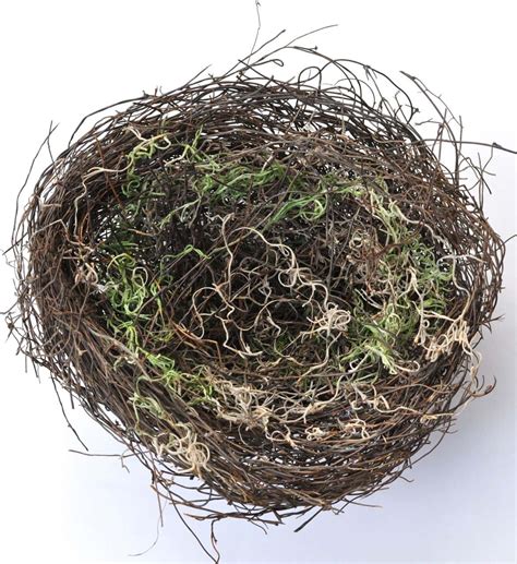 How To Make A Bird Nest In Minutes