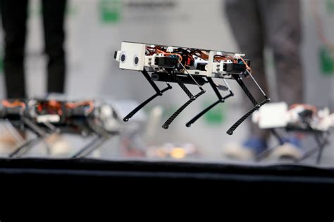 Github Stanfordroboticsclubstanfordquadruped