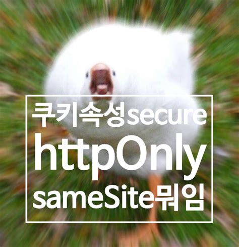 세션 쿠키 속성 Secure Samesite Only 뭐임 개발새발