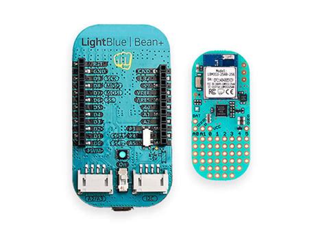 Lightblue® Bean Punch Through