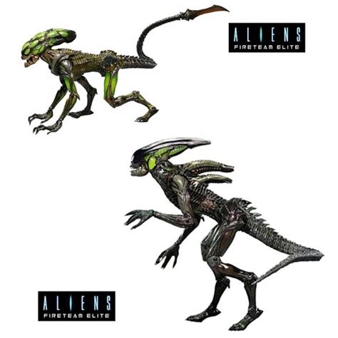 Xenomorph King Avp Central Alien Vs Predator Xenomorph King How To