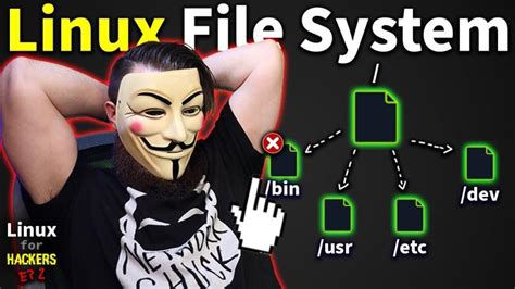 Nadeera Sampath On Linkedin The Linux File System Explained In 1233 Seconds Linux For