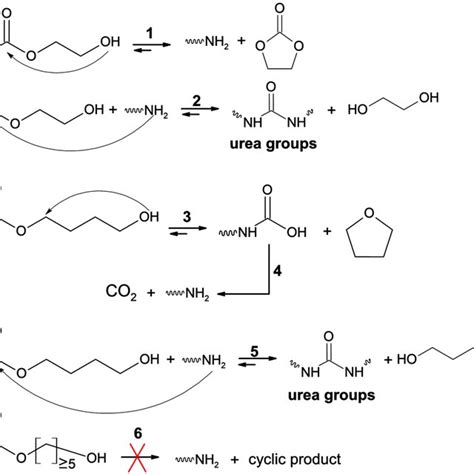 The Dependence Of The Hydrocarbon Chain Length In The Terminal Groups Download Scientific