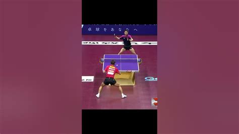 Zhang Jike Vs Fang Bo Zhangjike Fangbo Tabletennis Pingpong Worldtabletennis Ittf Shorts