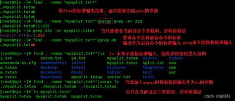 计算机基础知识Linux命令简介 linux sync shell command 包括文件系统吗 CSDN博客