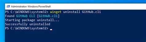 A Guide On How To Winget Evilsaint