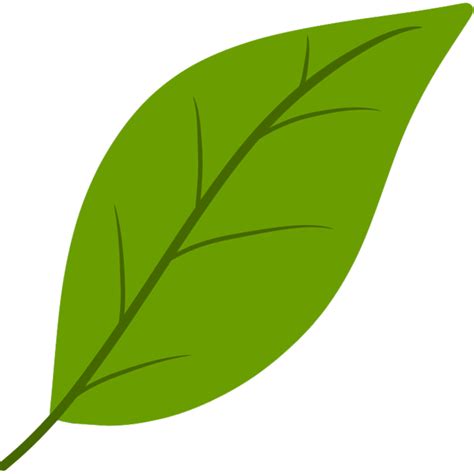 Cbam Training Carbon Complete