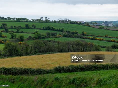 봄날에 남부 아일랜드의 그림 같은 들판 아름 다운 아일랜드 시골 풍경 나무가 있는 푸른 잔디밭 0명에 대한 스톡 사진 및 기타 이미지 Istock