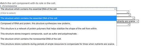 Solved Match The Cell Component With Its Role In The Cell Chegg Com