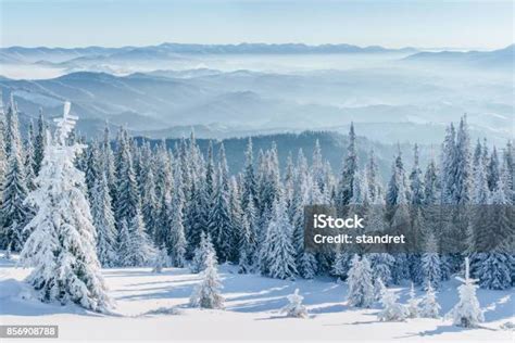 환상적인 겨울 풍경입니다 서리가 하루 산에서 마술 일몰입니다 에 휴일의 이브 극적인 장면입니다 카 르 파티 아 우크라이나 유럽입니다 가리기에 대한 스톡 사진 및 기타 이미지