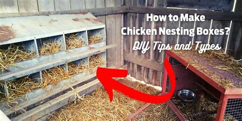 How To Make Chicken Nesting Boxes DIY Tips And Ideas