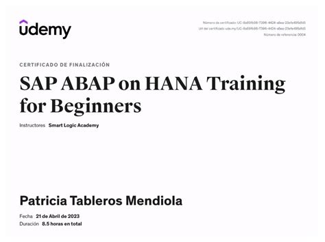 Sapabap Saphana S4hana Patricia Tableros