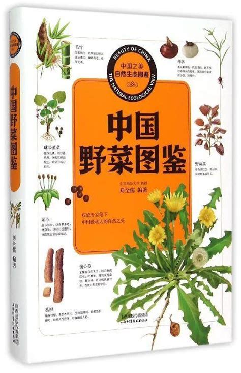 野外生存之野菜图鉴王宝钏记一功 知乎