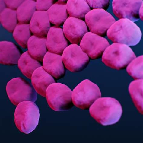 Bacterial Pathogenesis