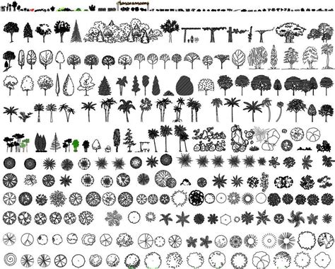 Plant And Trees Cad Blocks In Autocad 2d Drawing Dwg File Cad File