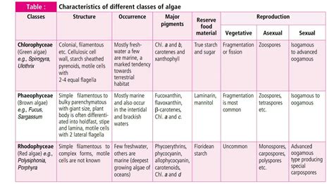 Characteristics Of Different Algae