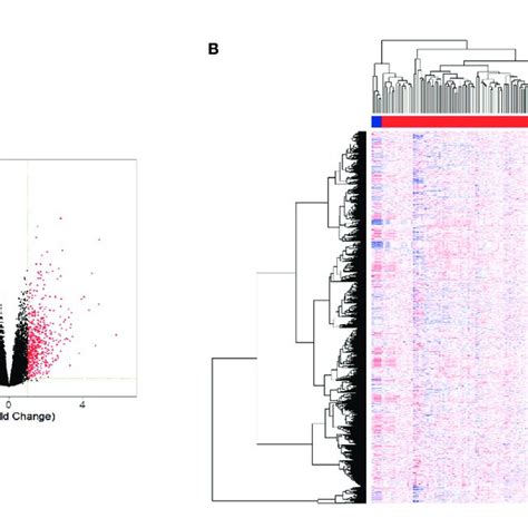 Volcano And Heat Maps Of Differential Gene Expression A Volcano