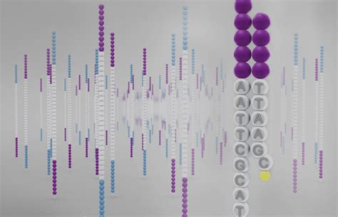 Next Generation Sequencing NGS Explore The Technology
