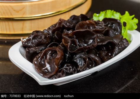 黑木耳高清图片下载 红动中国