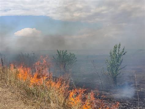 Миколаївське підприємство завдало збитків екології майже на 800 тисяч Читайте на Ukr Net