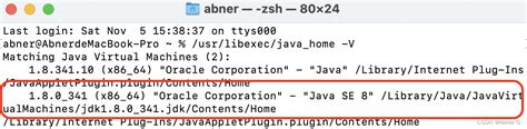 【mac 环境配置】 配置java环境 mac 配置 java home csdn博客