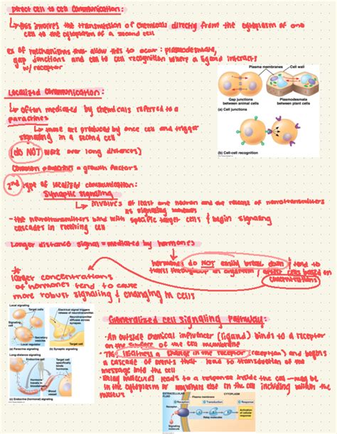 Signal Transduction And Cell Signaling Deprecated API Usage The SVG Back End Is No Longer