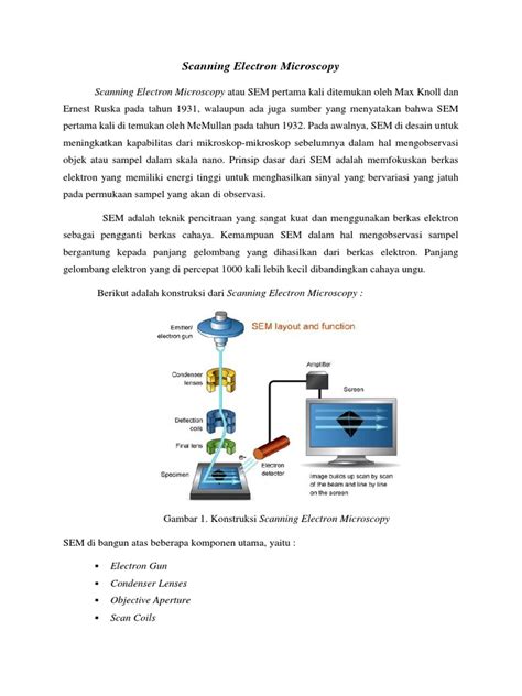 Scanning Electron Micros Pdf