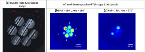 Bundle Fibre Images A Microscope Image Showing Geometrical Bundle Download Scientific Diagram