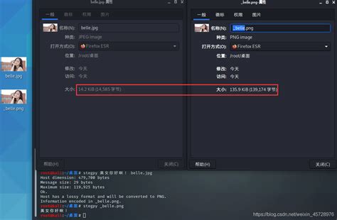 Ctf隐写工具stegpy的安装及使用（破解图片有惊喜） Csdn博客