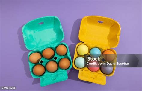다양한 색상으로 칠해진 부활절 달걀과 다른 색으로 칠해진 달걀이 있는 열린 달걀 상자의 평면도 개념에 대한 스톡 사진 및 기타 이미지 Istock