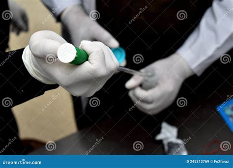 Dna Extraction Procedure In Laboratory Stock Image Image Of Accused Experiment 245313769