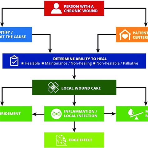 PDF Wound Bed Preparation