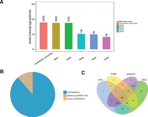 Expression Profile Analysis Of Lncrna And Mrna In Uterosacra Medicine