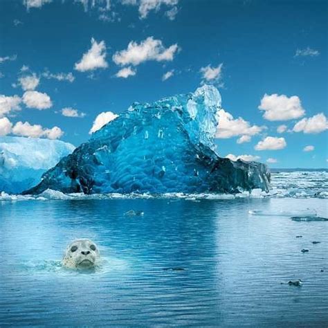 Журнал F S УЧЕНЫЕ ВЫЯСНИЛИ ЧТО СЕВЕРНЫЙ ЛЕДОВИТЫЙ ОКЕАН В ДРЕВНОСТИ БЫЛ ПРЕСНЫМ В океане было