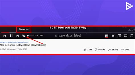 How To Fix No Sound On YouTube In