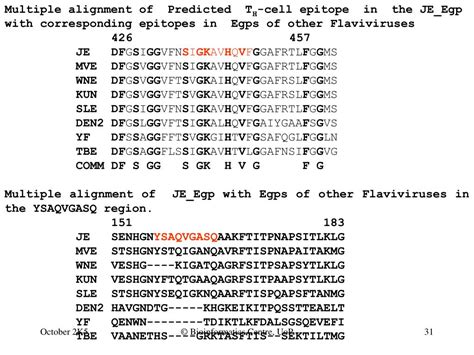 Ppt Epitope Prediction Algorithms Powerpoint Presentation Free