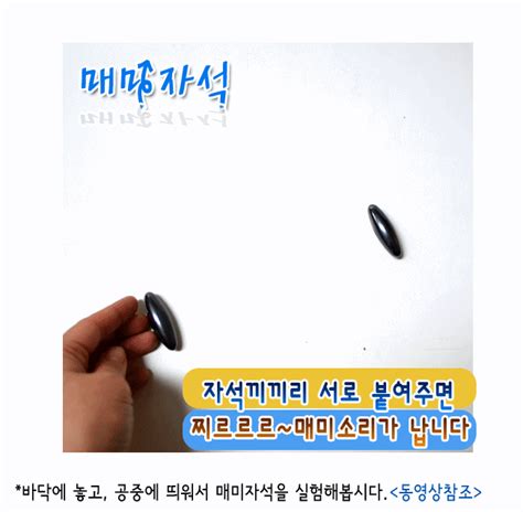매미자석2개1조 유성과학주식회사