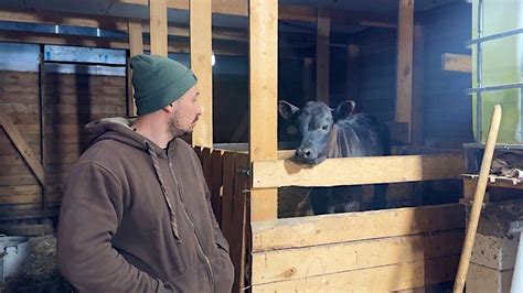 Наконец то все готово Неужели и такое бывает Наша ферма Жизнь простых людей в деревне