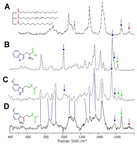 Inner Plexiform Layer Signal Compared With Reference Compounds All Download Scientific Diagram
