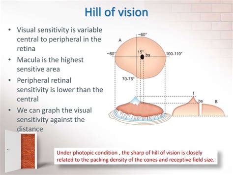 Visual Field Evaluation PPTX Eye And Vision Conditions Diseases And Conditions