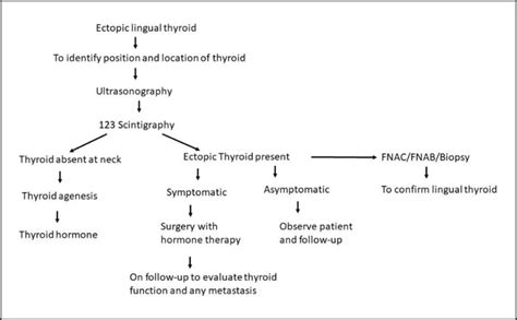 Ectopic Thyroid