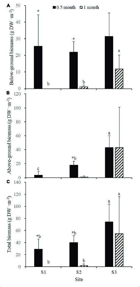 Below Ground Biomass A Above Ground Biomass B And Total Biomass Download Scientific