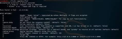 Установка и примеры использования FFuF на Kali Linux