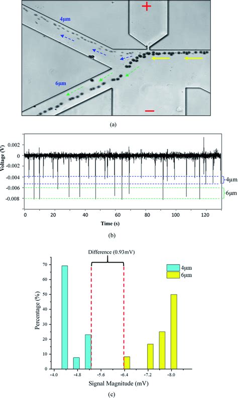 Separating And Counting 3 Mm And 4 Mm Particles A Trajectories Of