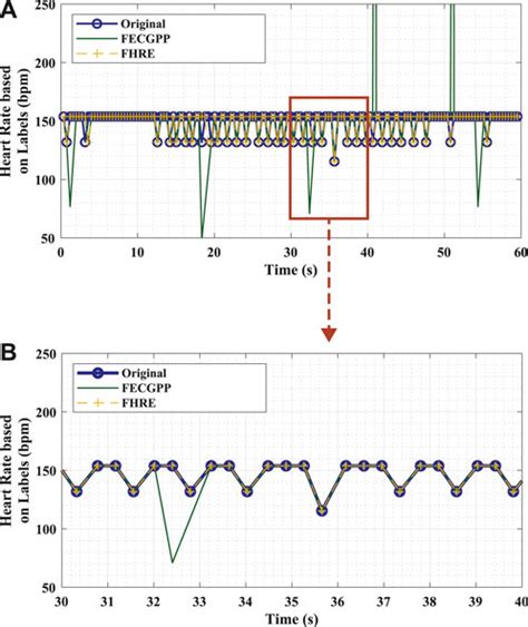 Frontiers A Deep Learning Framework For Noninvasive Fetal Ecg Signal Extraction